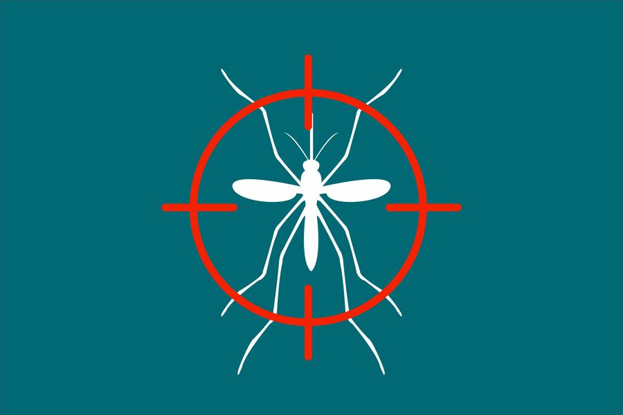 Foto: Melgas de ExtremePest - Controlo de Pragas #299661 - Habitissimo