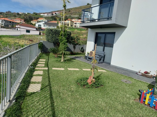 Foto: Plantação de Relva Natural - Jardinagem de Lexunders Madeira ...