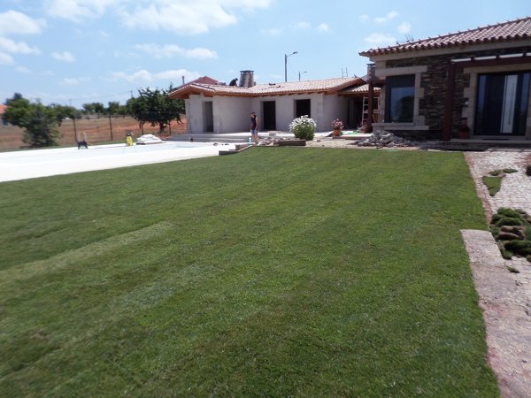 Foto: Relva Natural Aplicada de Inovajardins - Espaços Verdes ...