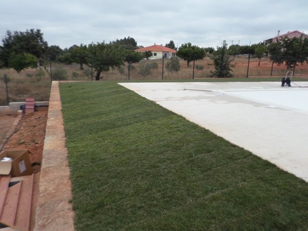 Foto: Relva Natural Aplicada de Inovajardins - Espaços Verdes ...